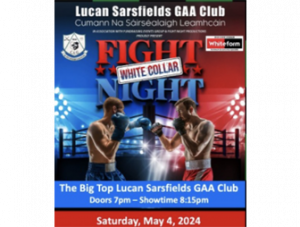 Lucan Sarsfields GAA